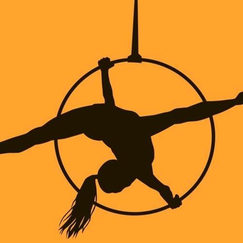 Aerial Arts Classes: Kids Lyra